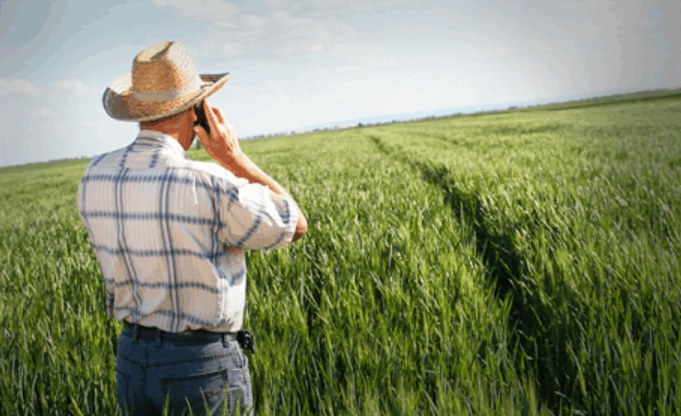 Tower Locator – Array Digital Infrastructure